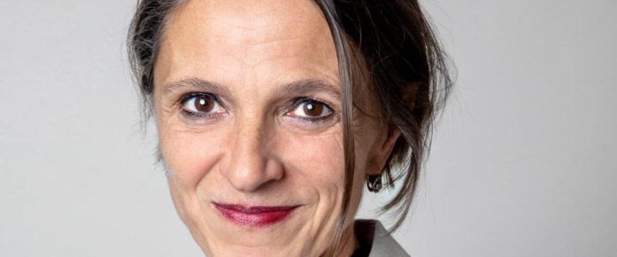 Der Standard: Karin Bauer übernimmt Leitung des Printteams | Medienhandbuch.at